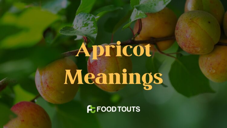 Apricot Meaning In Hindi, Urdu, Punjabi And Persian | Food Touts
