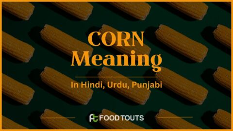Corn Meaning In Hindi, Urdu, Punjabi And Persian | Food Touts